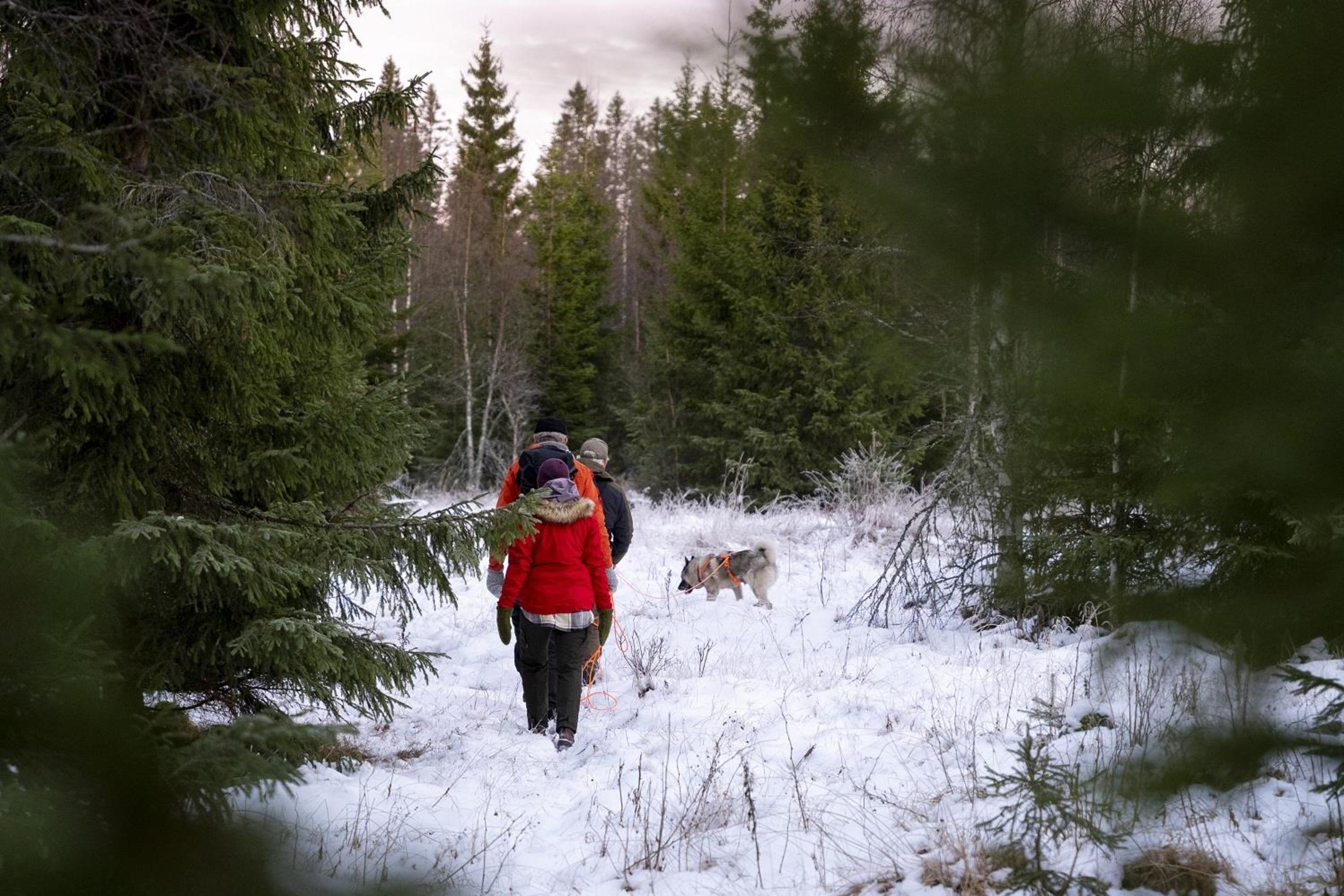 Finnskogen Adventures - Visit Øst-Norge